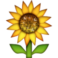 🌻 Sunflower Emoji
