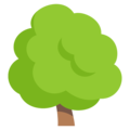 🌳 Deciduous Tree Emoji