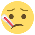 🤒 Face with Thermometer Emoji