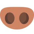 🐽 Pig Nose Emoji