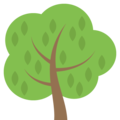 🌳 Deciduous Tree Emoji