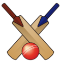 🏏 Cricket Bat and Ball Emoji