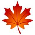 🍁 Maple Leaf Emoji