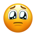 🥺 Pleading Face Emoji