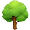 🌳 Deciduous Tree Emoji