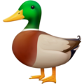🦆 Duck Emoji