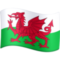 🏴󠁧󠁢󠁷󠁬󠁳󠁿 Flag for Wales Emoji
