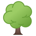 🌳 Deciduous Tree Emoji