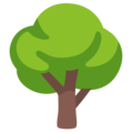 🌳 Deciduous Tree Emoji