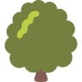 🌳 Deciduous Tree Emoji