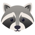 🦝 Raccoon Emoji