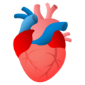 🫀 Anatomical Heart Emoji