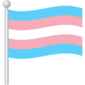 🏳️‍⚧️ Transgender Flag Emoji