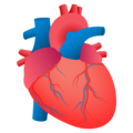 🫀 Anatomical Heart Emoji