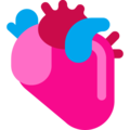 🫀 Anatomical Heart Emoji