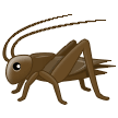 🦗 Cricket Emoji