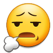 😧 Anguished Face Emoji