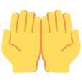 🤲 Palms Up Together Emoji