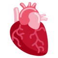 🫀 Anatomical Heart Emoji