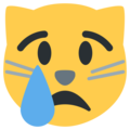😿 Crying Cat Face Emoji