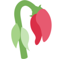 🥀 Wilted Flower Emoji