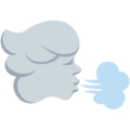 🌬️ Wind Blowing Face Emoji