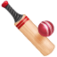 🏏 Cricket Bat and Ball Emoji