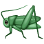 🦗 Cricket Emoji