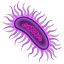 🦠 Microbe Emoji