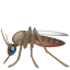 🦟 Mosquito Emoji