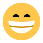 Toss Face (토스페이스)