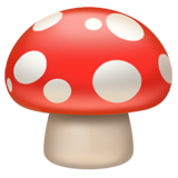 🍄 Fungo Emoji on Apple iOS 14.6