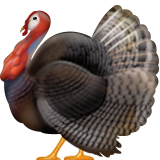 🦃 Turkey Emoji on Apple iOS 10.0