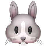🐰 Rabbit Face Emoji on Apple iOS 10.3