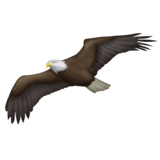 🦅 Adler Emoji on Emojipedia Eksempelbilleder 5.2