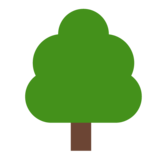 🌳 Deciduous Tree Emoji on Microsoft Windows 11 22H2