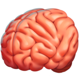 🧠 Cerebro Emoji on Twitter Emoji Stickers 13.1