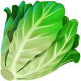 🥬 Sayuran Hijau Emoji on Twitter Emoji Stickers 13.1
