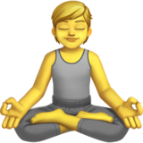 🧘 Person in Lotus Position Emoji on Twitter Emoji Stickers 13.1