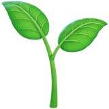 🌱 Seedling Emoji on Twitter Emoji Stickers 13.1