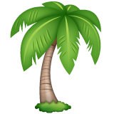 🌴 Palmboom Emoji on WhatsApp 2.20.198.15