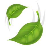 🍃 Leaf Fluttering in Wind Emoji on WhatsApp 2.23.2.72