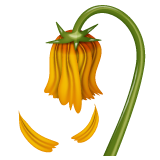 🥀 Flor Marchita Emoji on WhatsApp 2.23.2.72