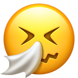 🤧 Sneezing Face Emoji