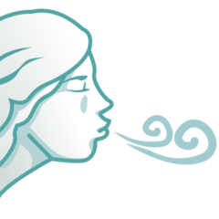 🌬️ Wind Blowing Face Emoji