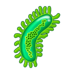 🦠 Microbe Emoji
