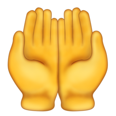 🤲 Palms Up Together Emoji