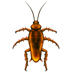 🪳 Cockroach Emoji