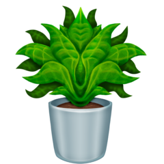 🪴 Potted Plant Emoji