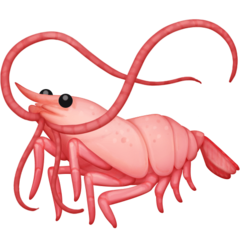 🦐 Shrimp Emoji